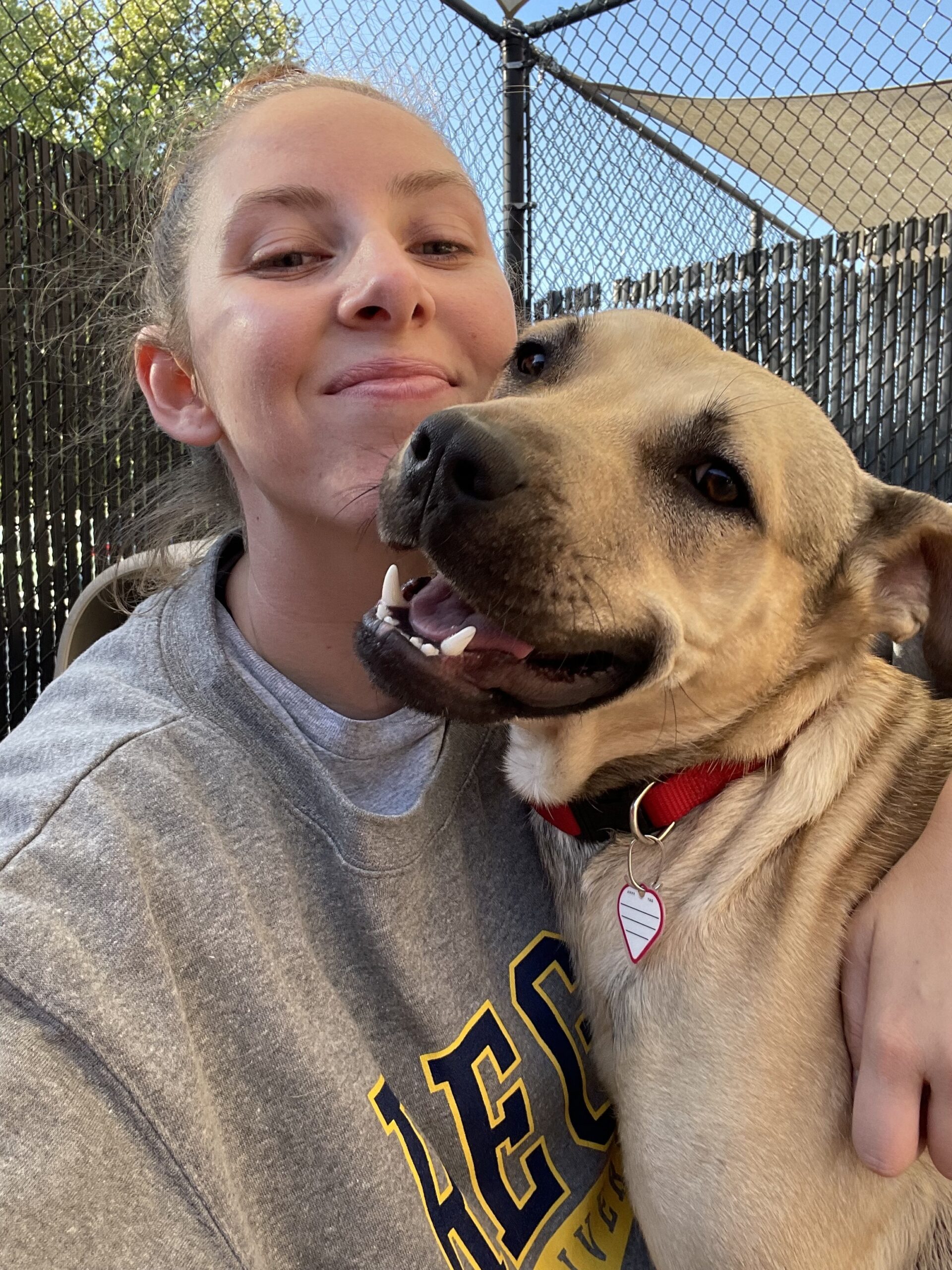 Life in the Swimlane with Emily Spector, Senior SDR - Security Boulevard